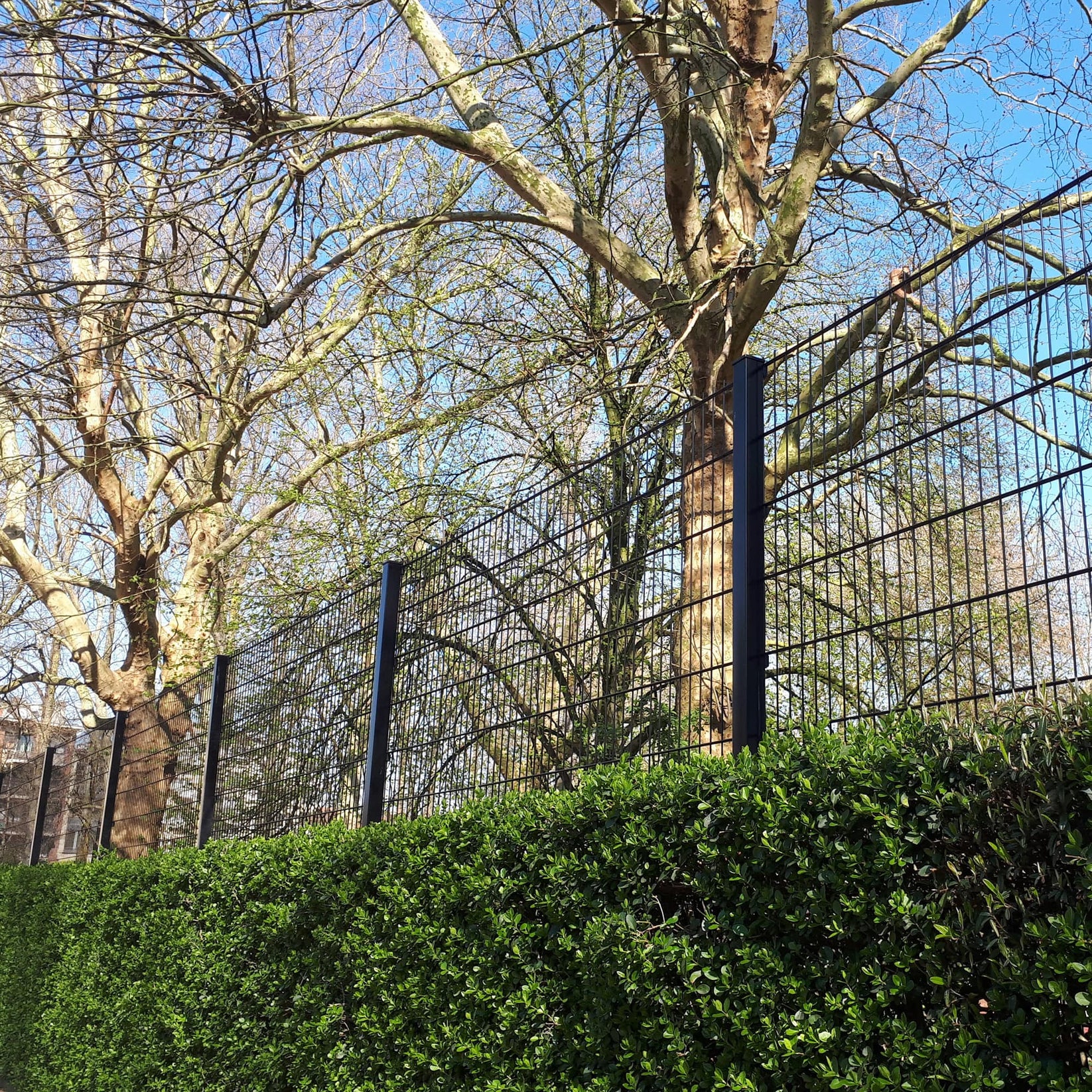 Doppelstabmattenzäune - Nylofor 2D 656